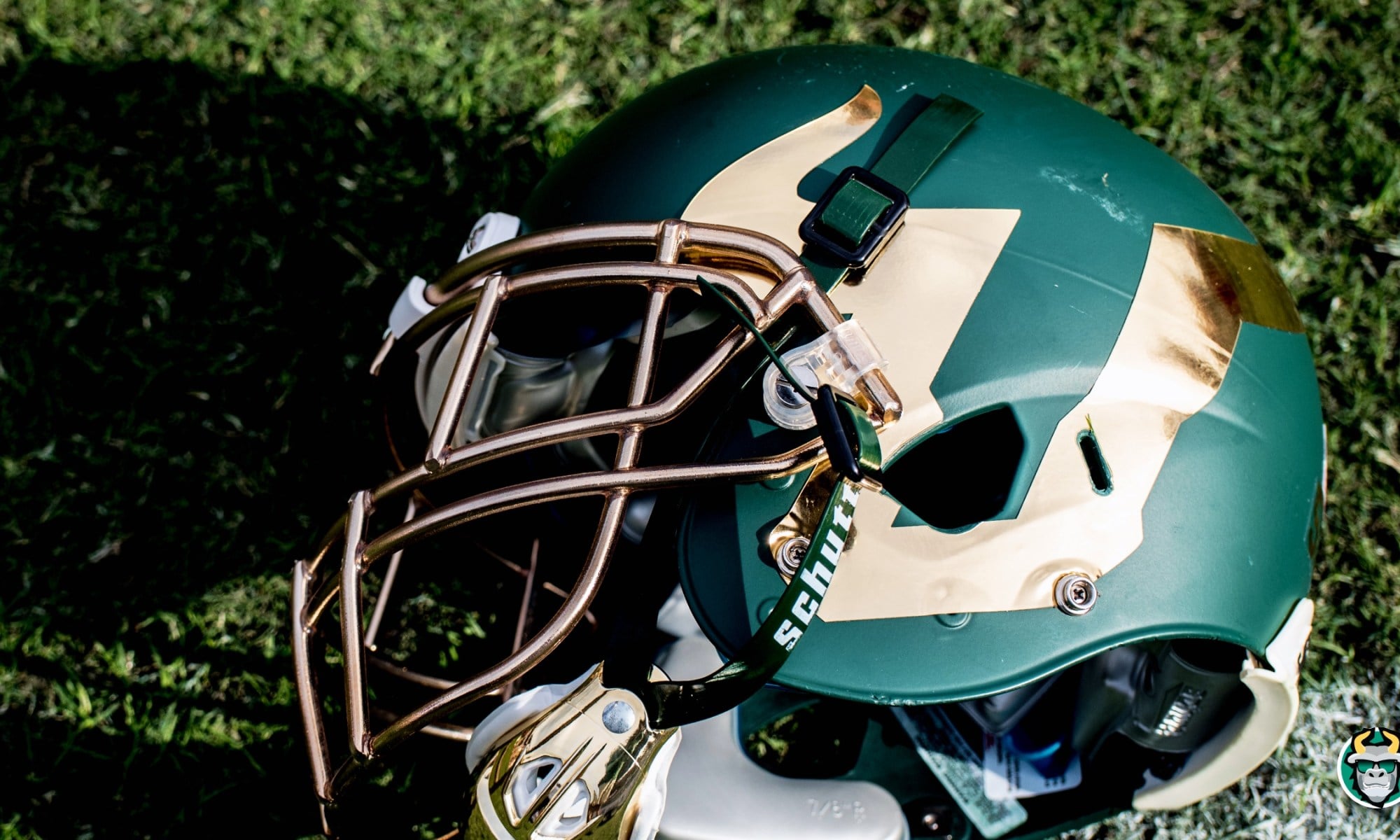 USF Moving Forward with $340 Million Stadium Project Plans | FifthQuarter